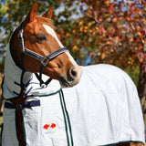 Zilco Horse Rugs & Equestrian Gear - Winter, Summer, Show & More