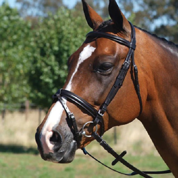 Elite Eventing Snaffle Bridle | Grainge – Trailrace
