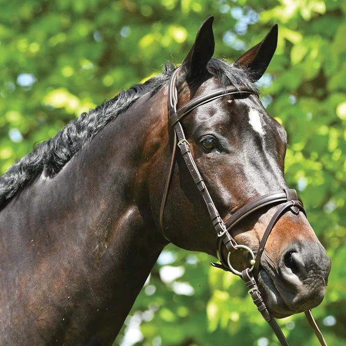 Elite Eventing Snaffle Bridle | Grainge – Trailrace