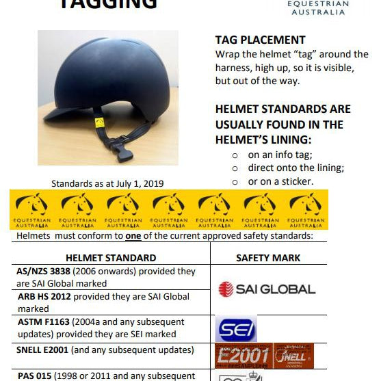 EA Helmet Tag – Trailrace