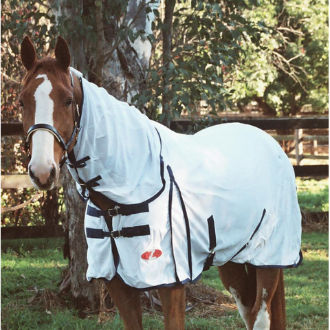 Zilco Horse Rugs & Equestrian Gear - Winter, Summer, Show & More